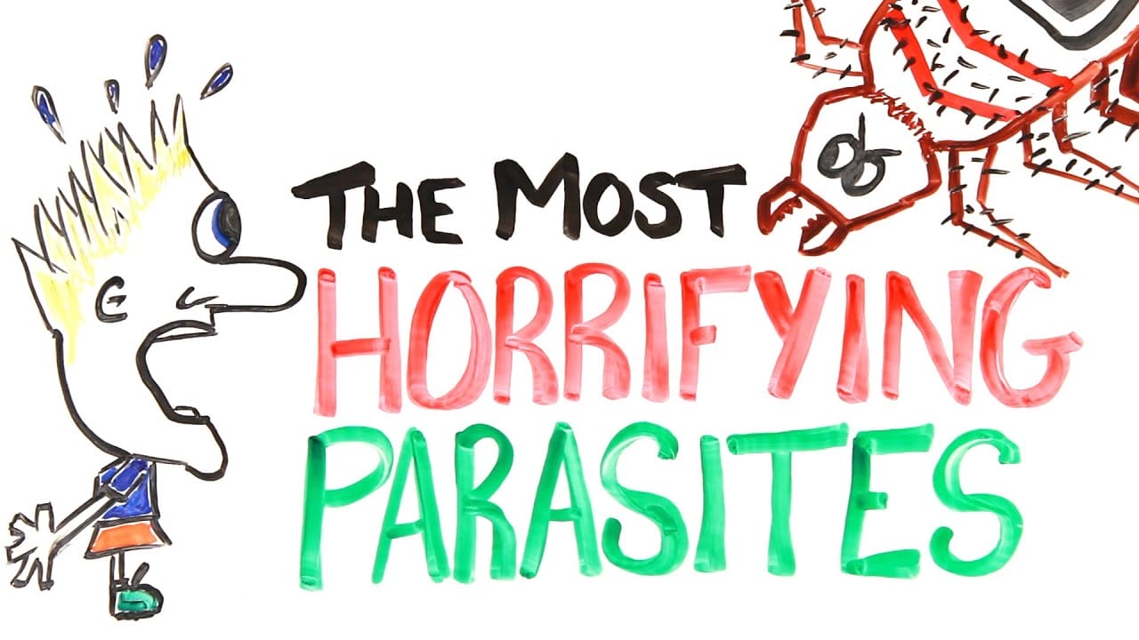 The most horrifying parasites on the planet - ClassX