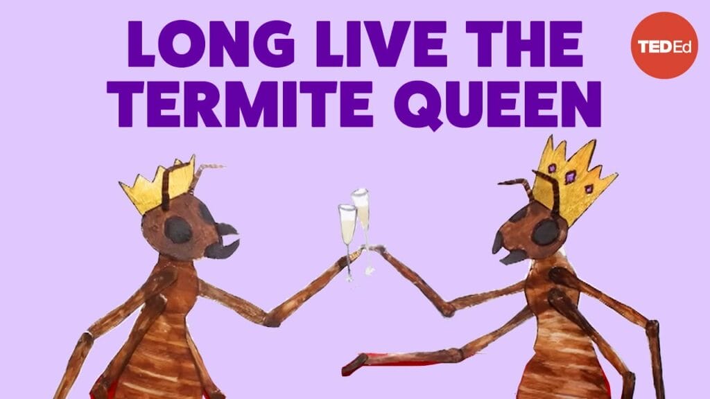 New Lessons | ClassX