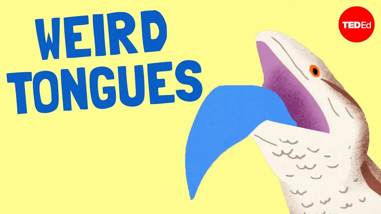 The Weirdest And Coolest Tongues In The Animal Kingdom - ClassX
