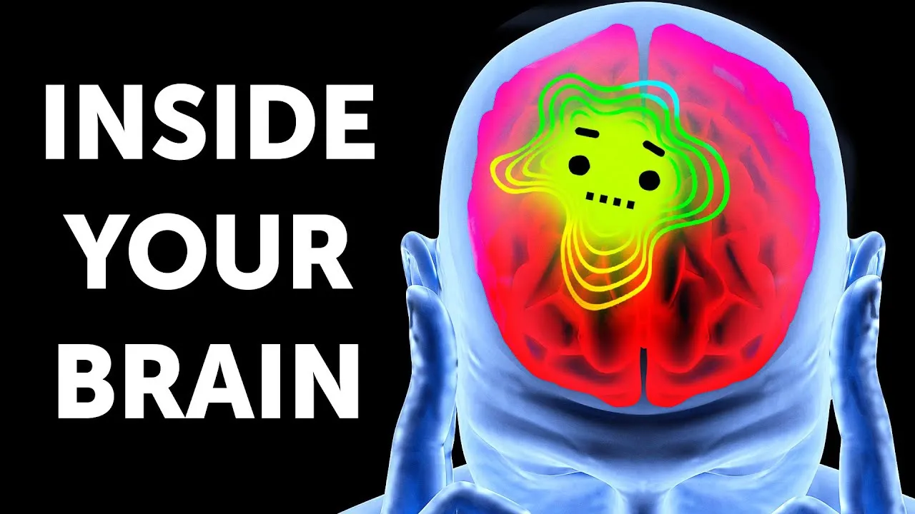 A Great Journey Inside Your Brain - ClassX