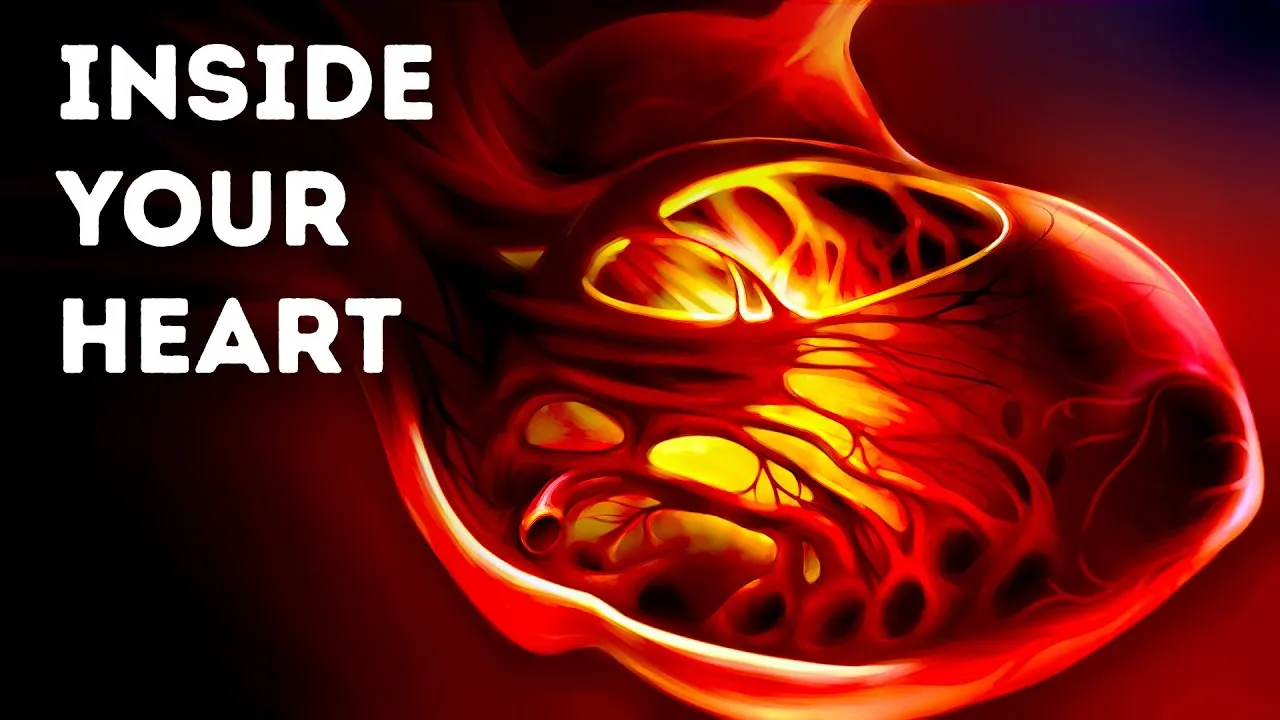 A Journey Inside Your Heart - ClassX