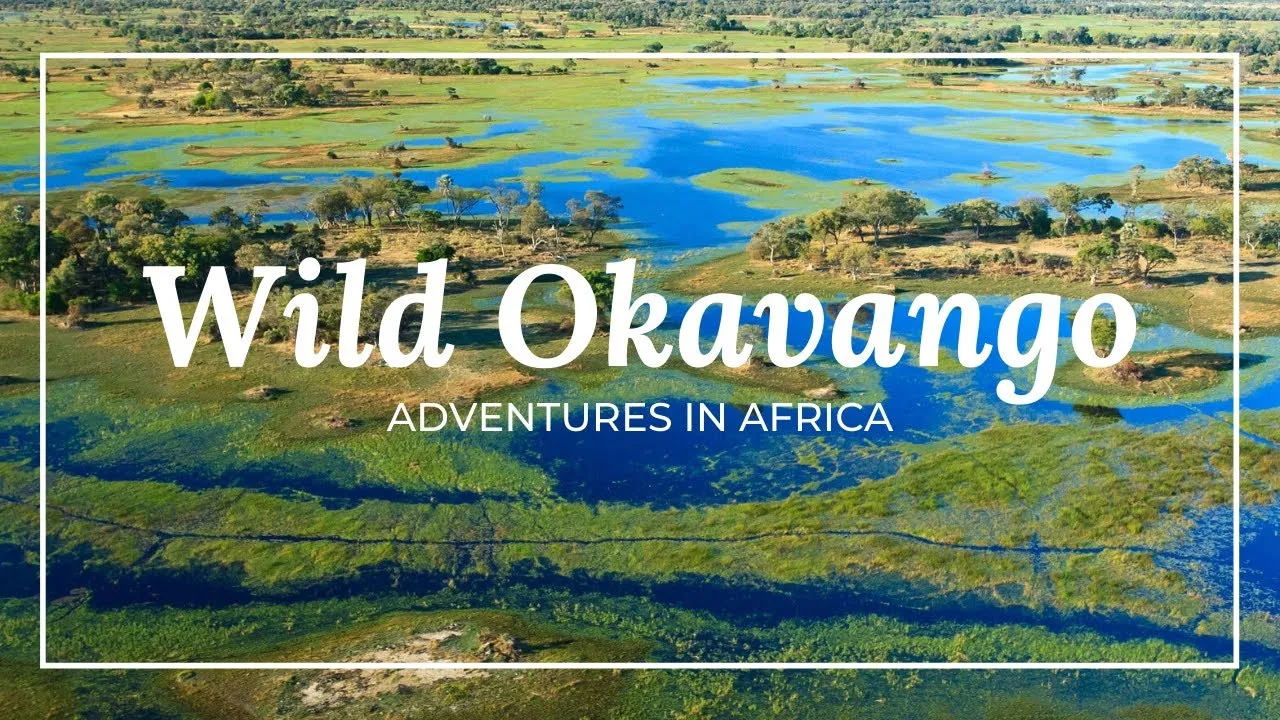 African Wildlife Documentary | Wild Okavango episode 1 - ClassX