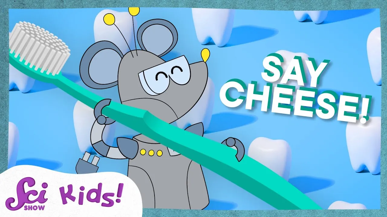 All About Teeth! - ClassX