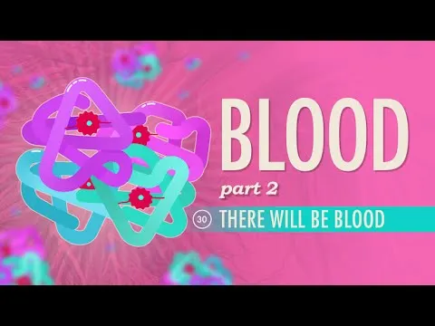 Blood, Part 2 - There Will Be Blood: Anatomy & Physiology #30 - ClassX