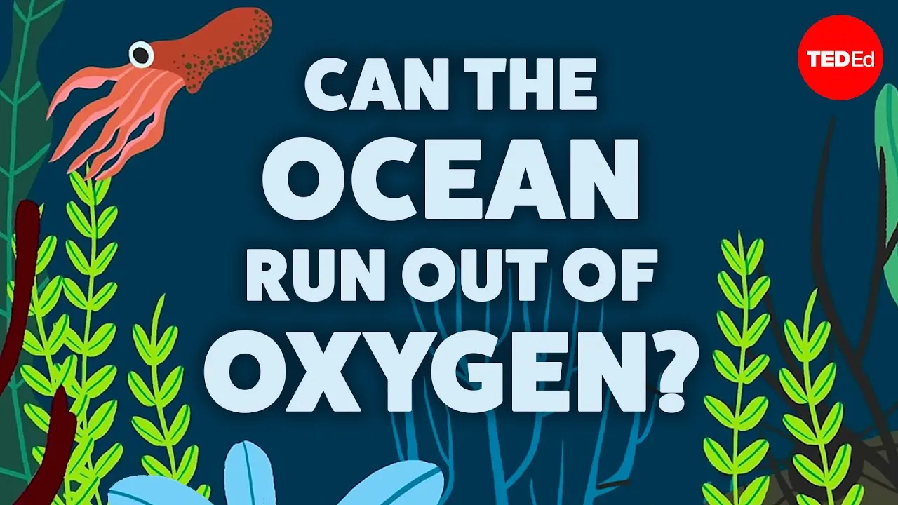 Can the ocean run out of oxygen? - Kate Slabosky - ClassX