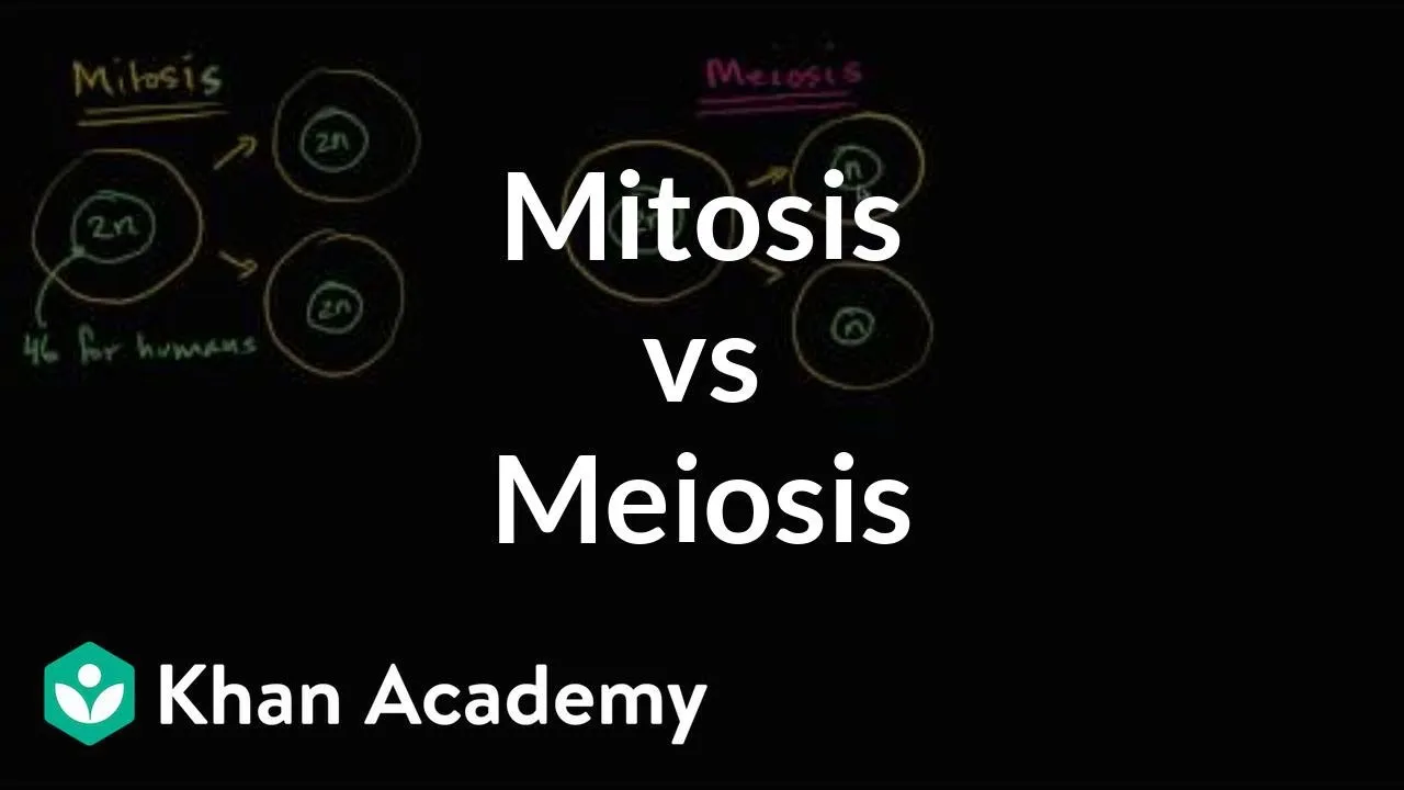 Comparing mitosis and meiosis | Cells | MCAT - ClassX