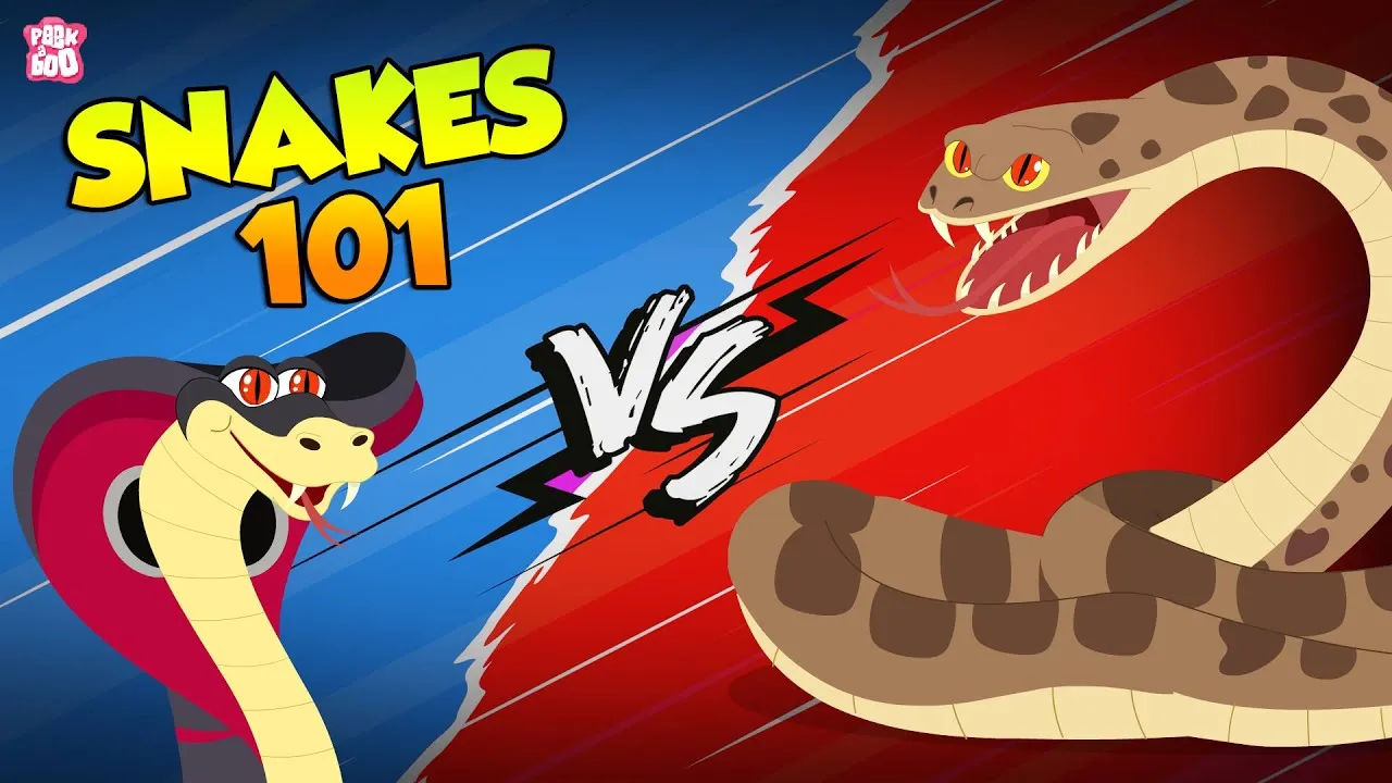 Deadliest Snakes | How Snake Poison Works in Human Body | Anaconda vs ...