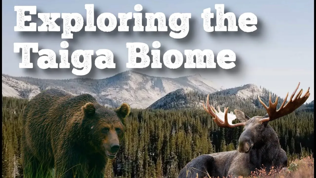 Exploring the Taiga Biome - ClassX