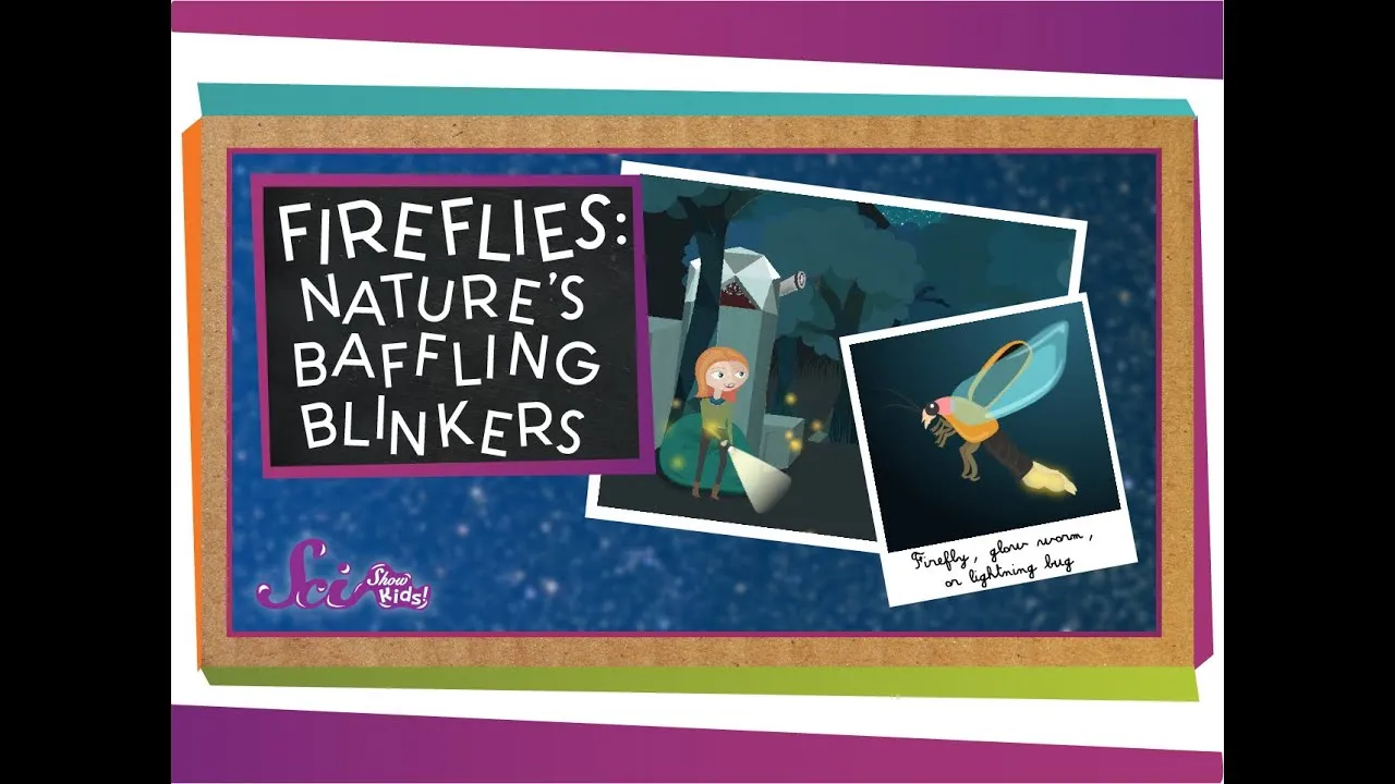 Fireflies: Nature's Baffling Blinkers - ClassX