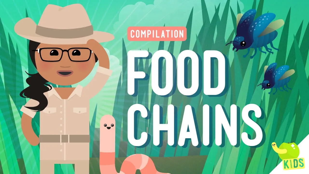 Food Chains Compilation - ClassX