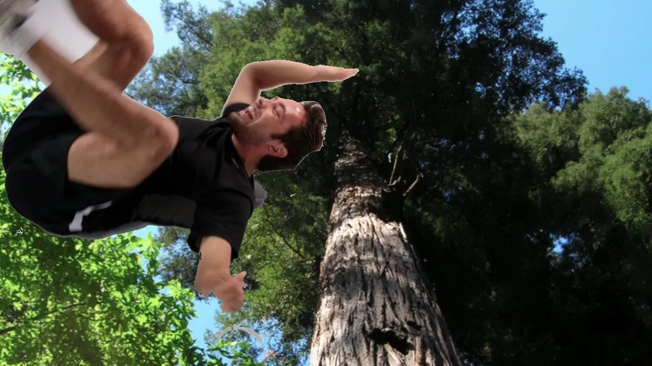 How Can Trees Be Taller Than 10m? - ClassX