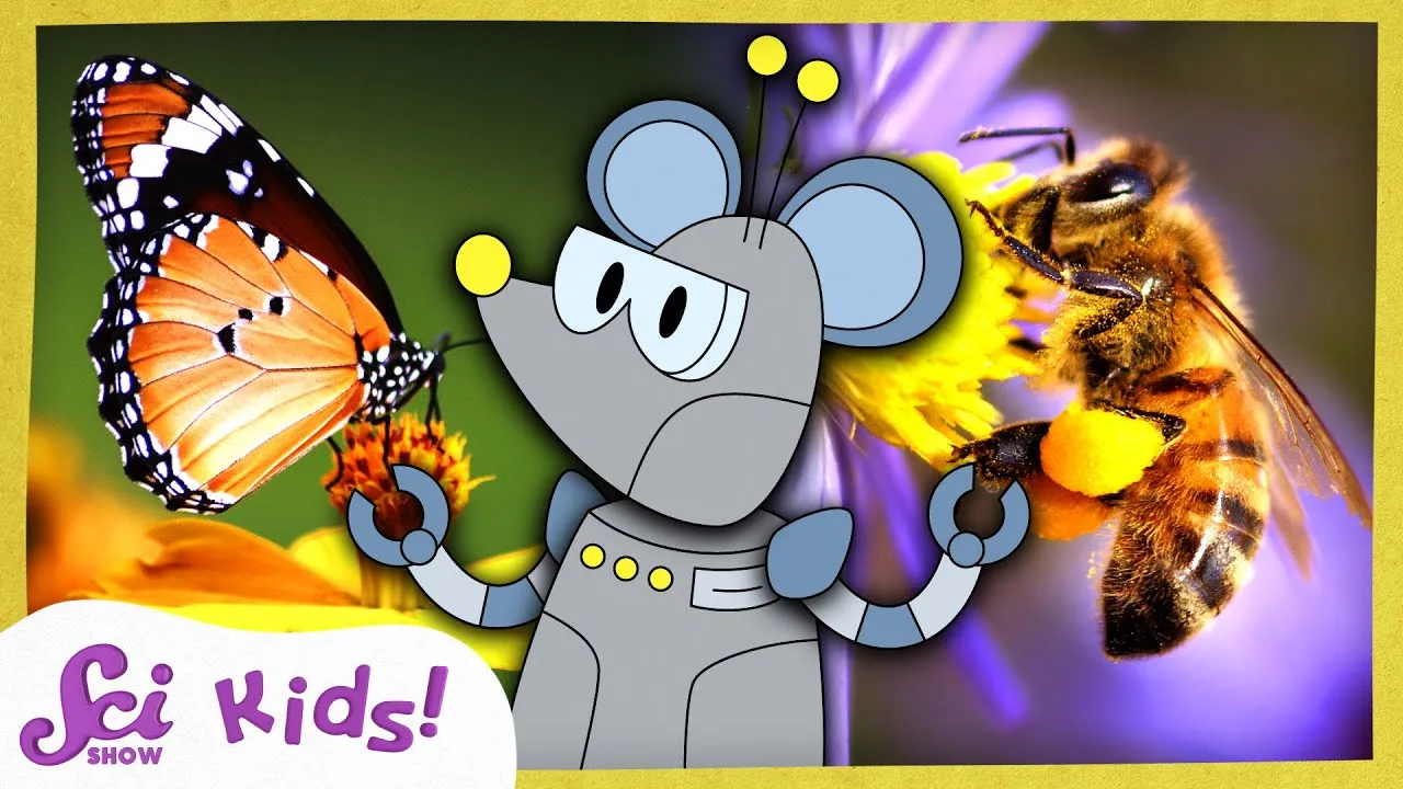 How Do Pollinators Help Plants Grow? - ClassX