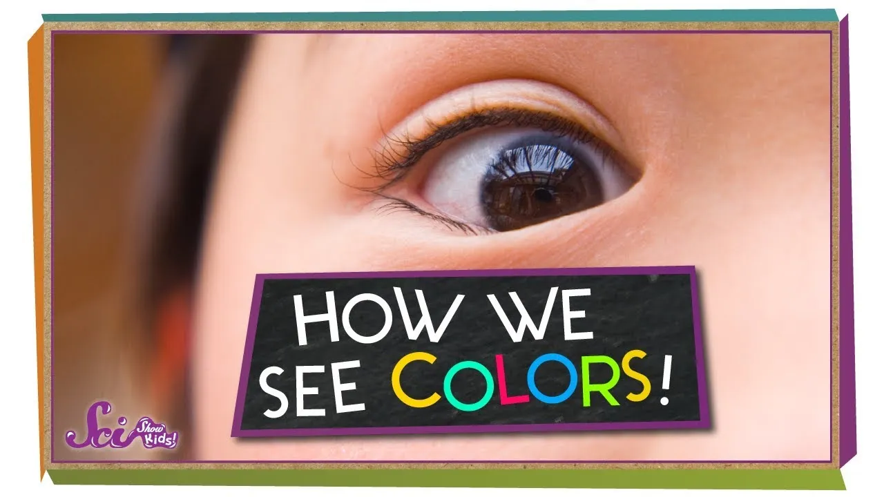 How Do We See Color? - ClassX