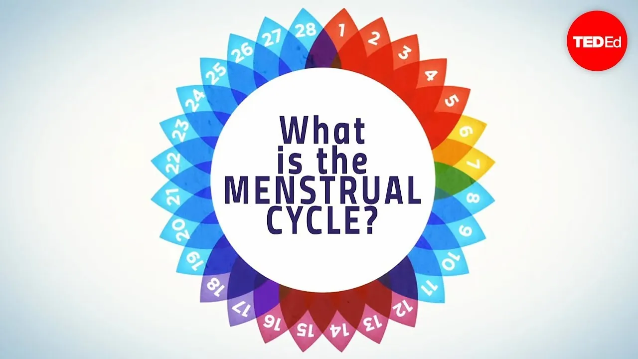How menstruation works - Emma Bryce - ClassX