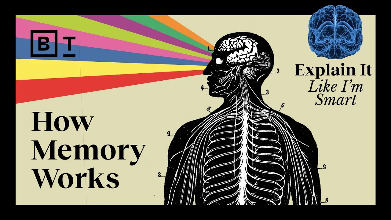 How The Brain Makes Memories Lisa Genova Classx