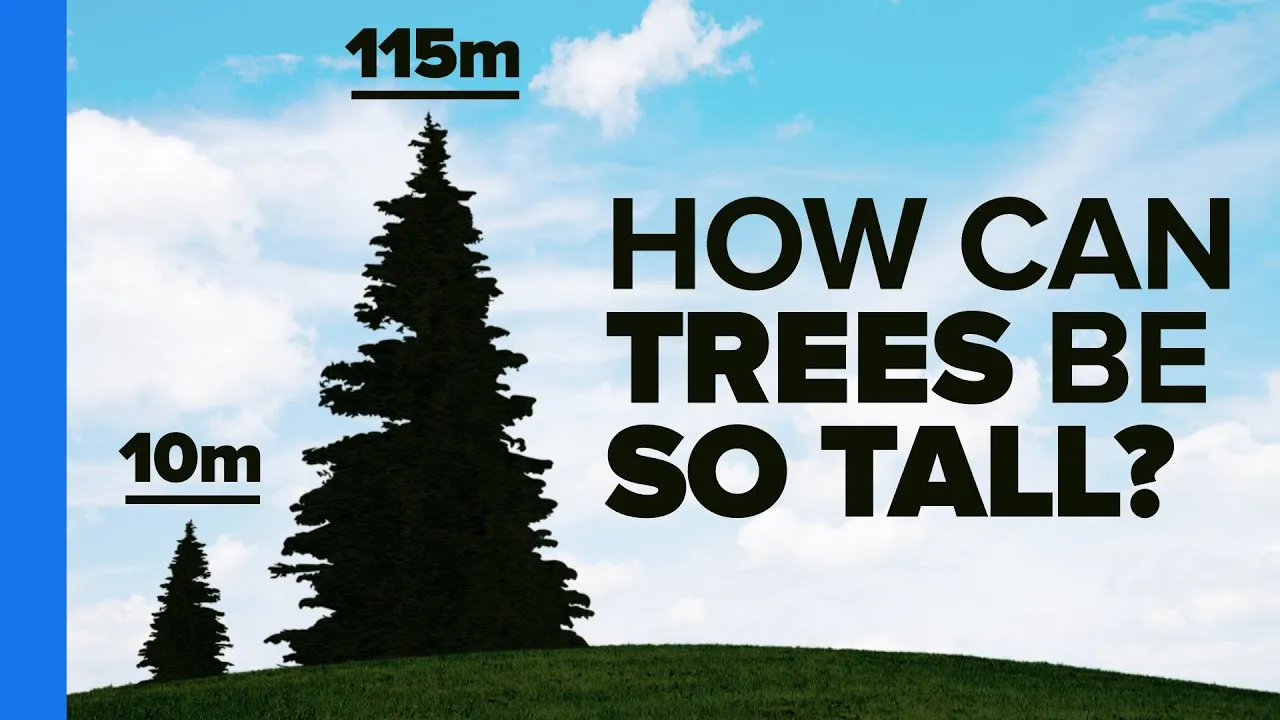 How Trees Bend the Laws of Physics - ClassX