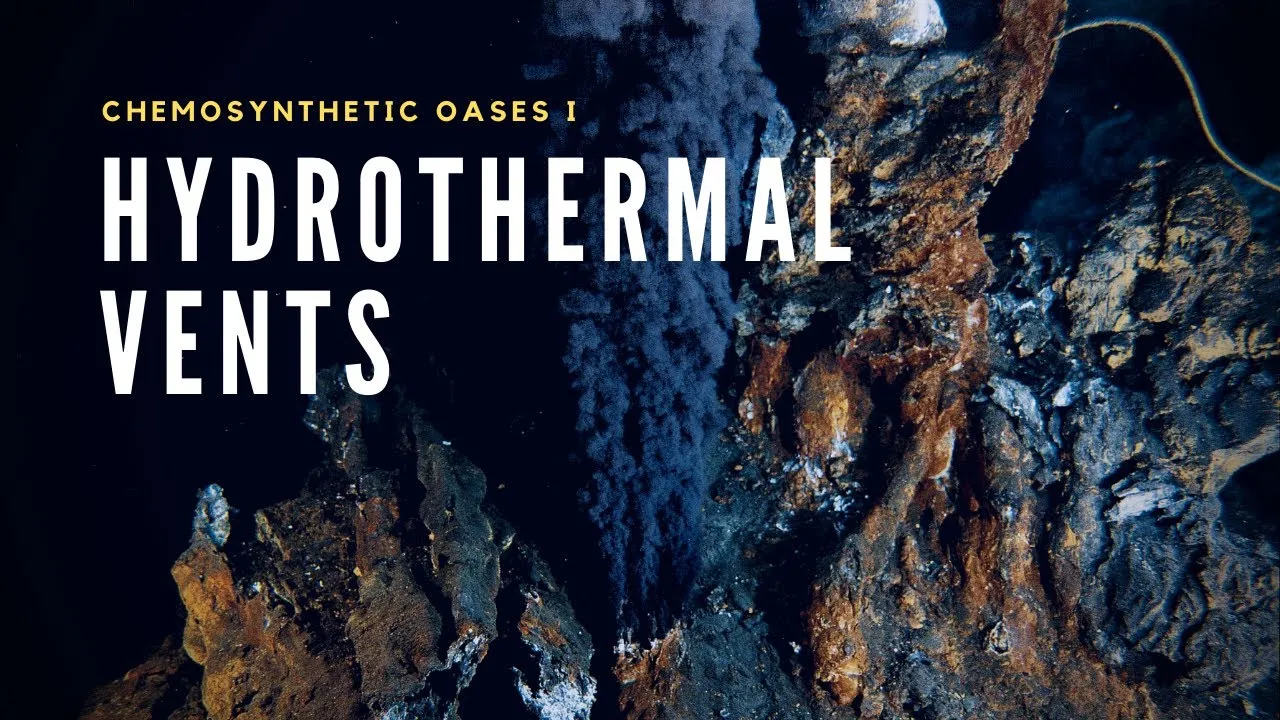 Hydrothermal Vents | Oases in the Deep Sea - ClassX