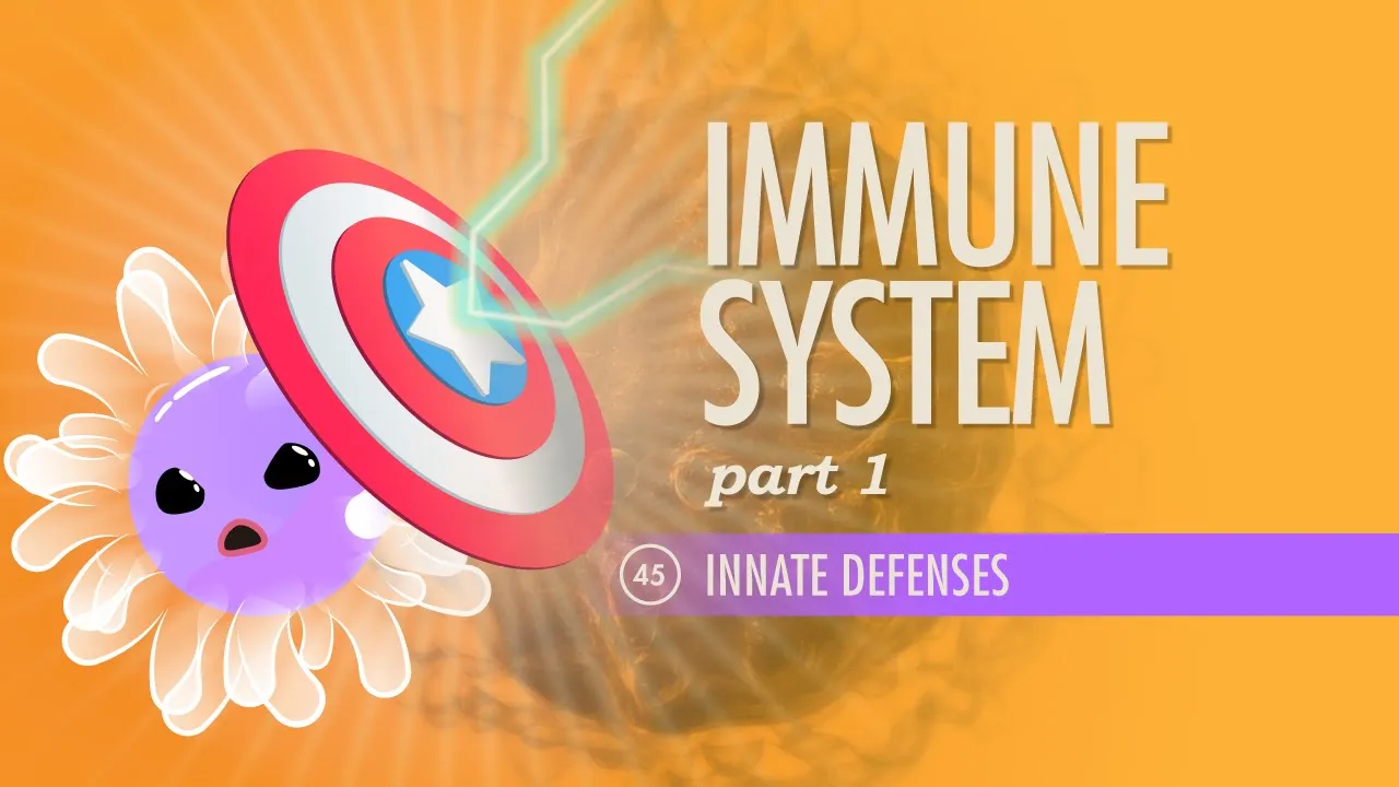 Immune System, Part 1: Anatomy & Physiology #45 - ClassX