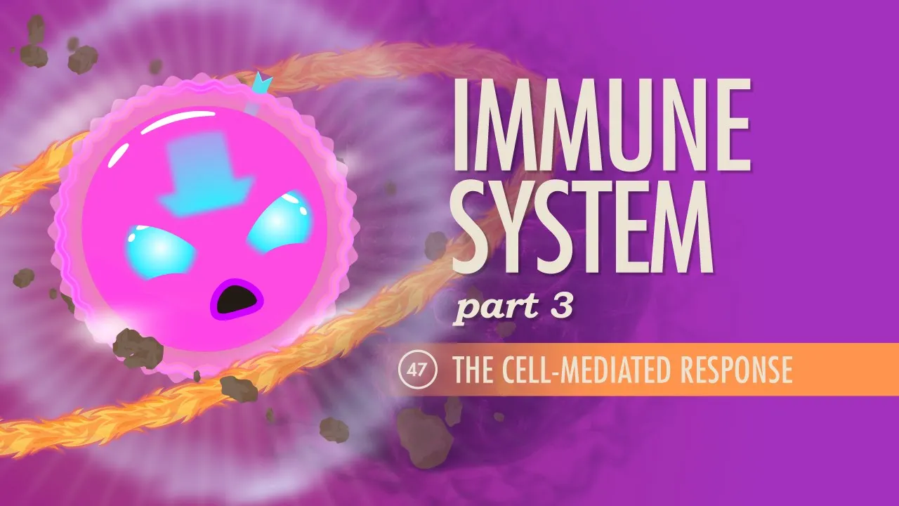 Immune System, Part 3: Anatomy & Physiology #47 - ClassX