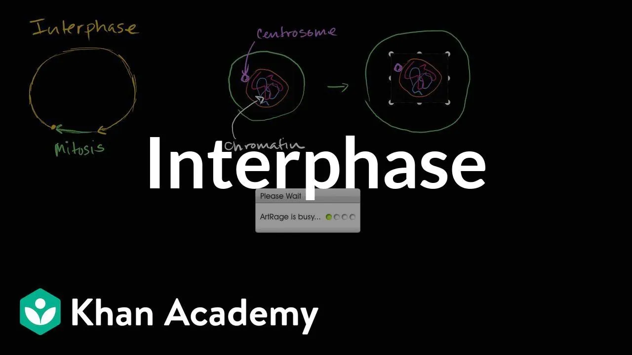 Interphase | Cells | MCAT - ClassX