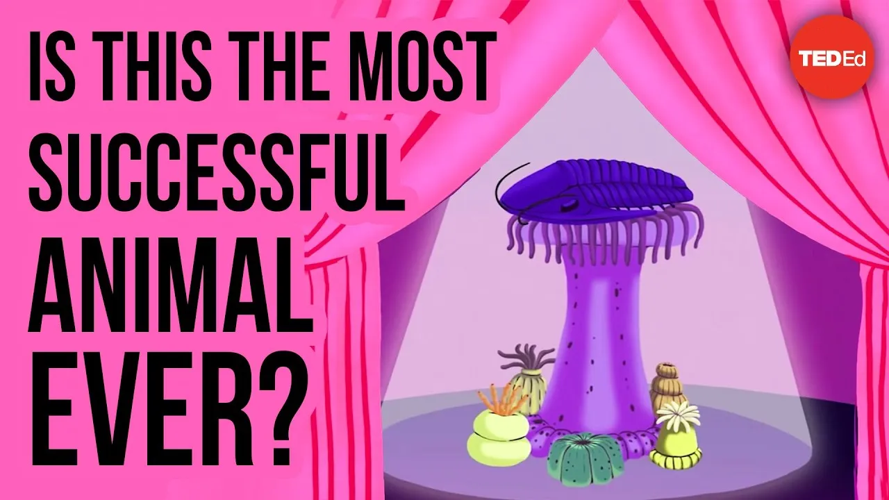 Is this the most successful animal ever? - Nigel Hughes - ClassX