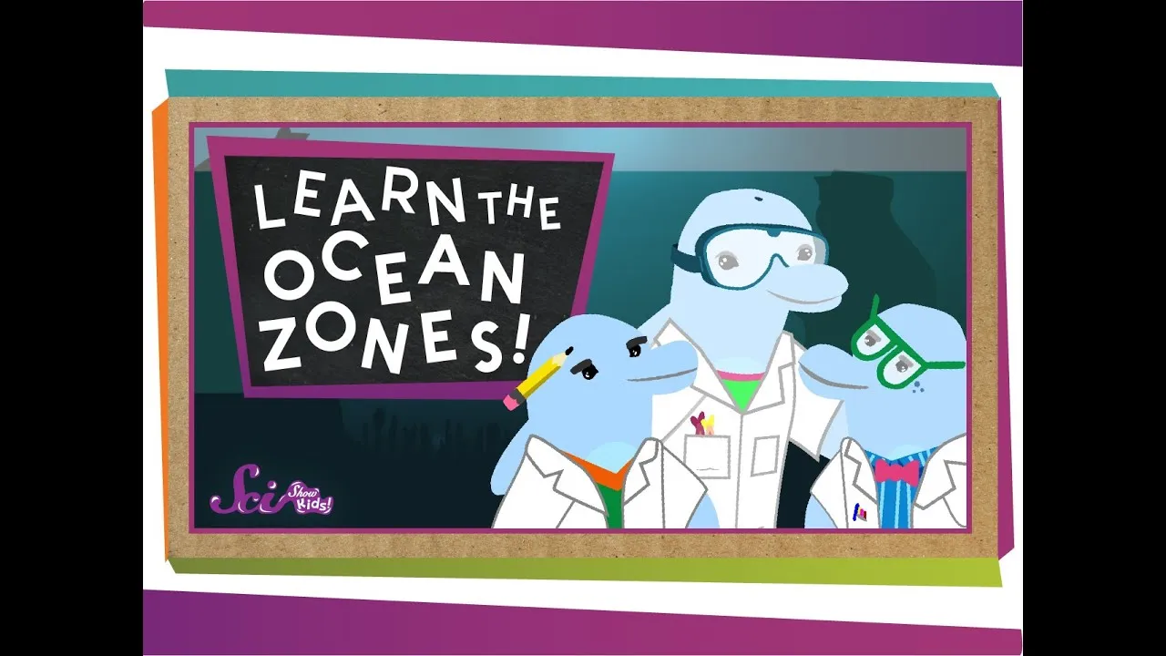 Let's Learn the Ocean Zones! - ClassX