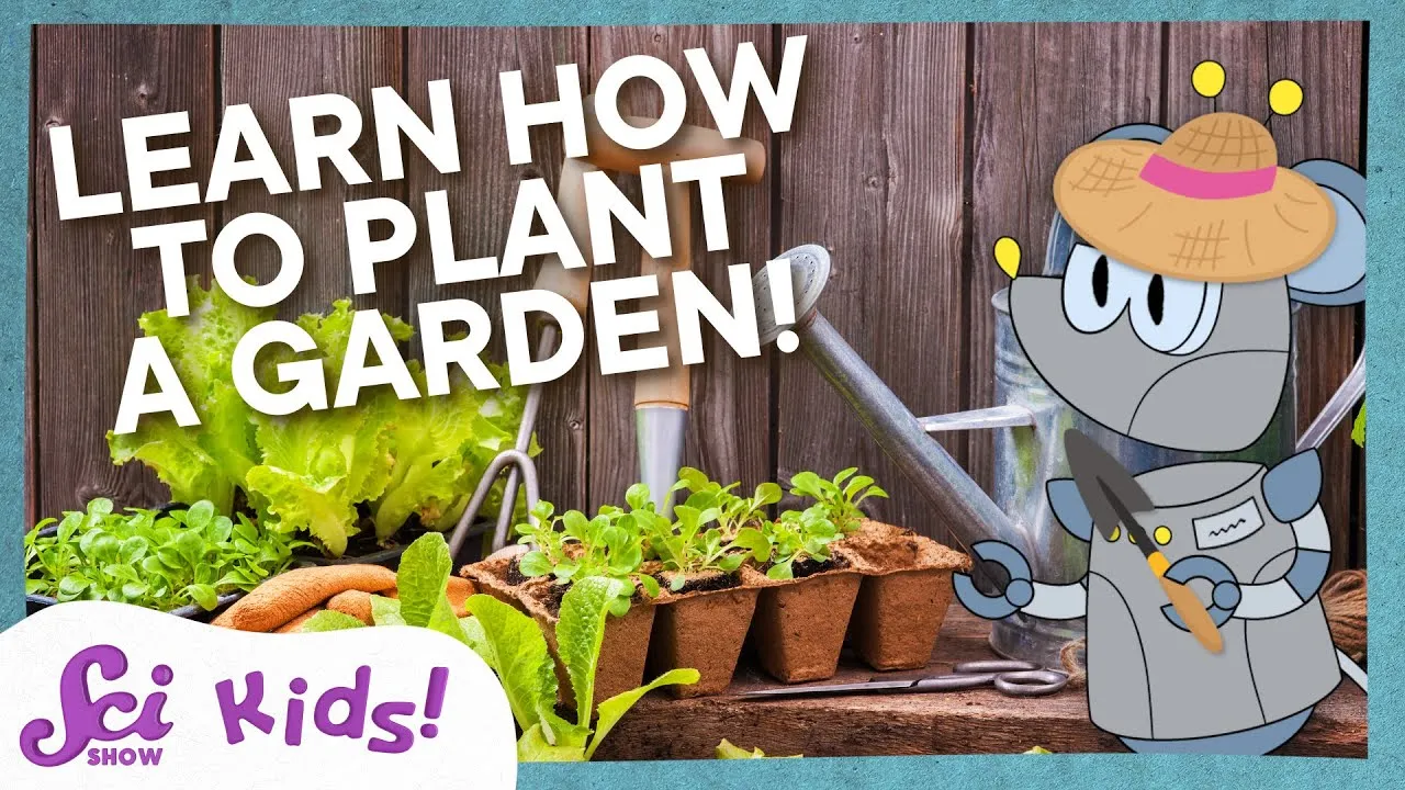 Let's Plant a Garden! - ClassX