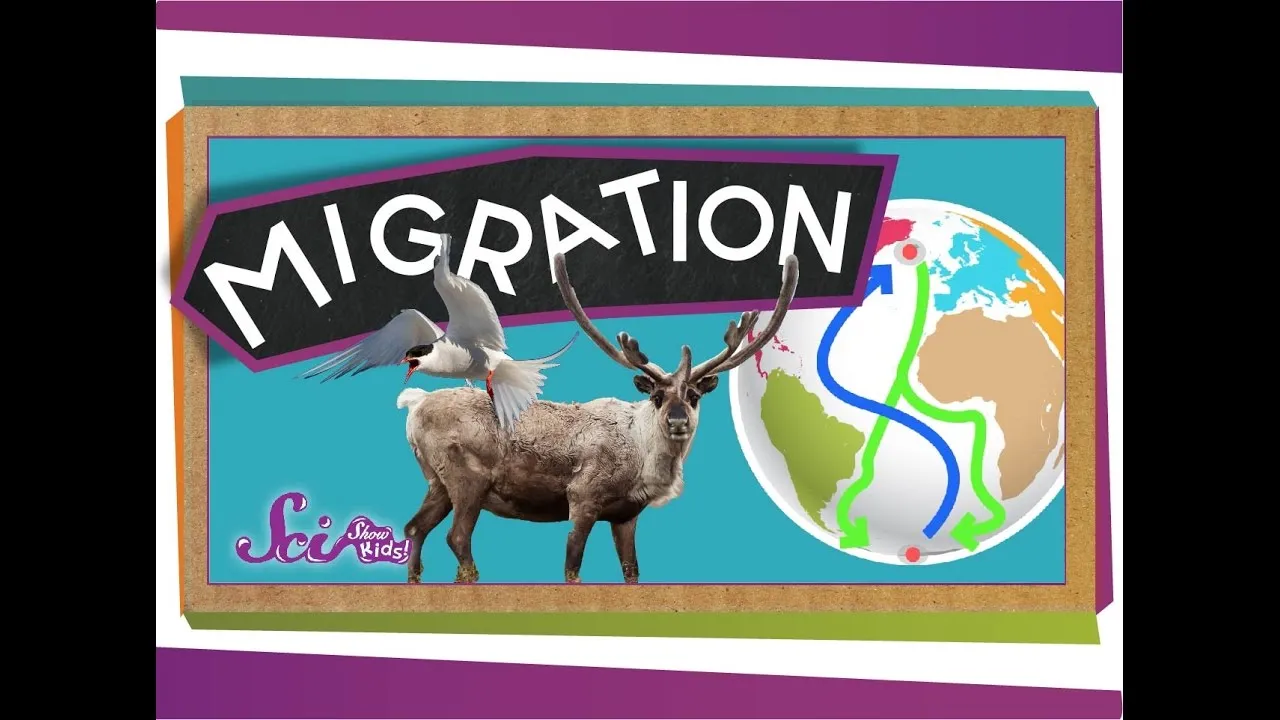 Migrations: Big Animal Trips - ClassX