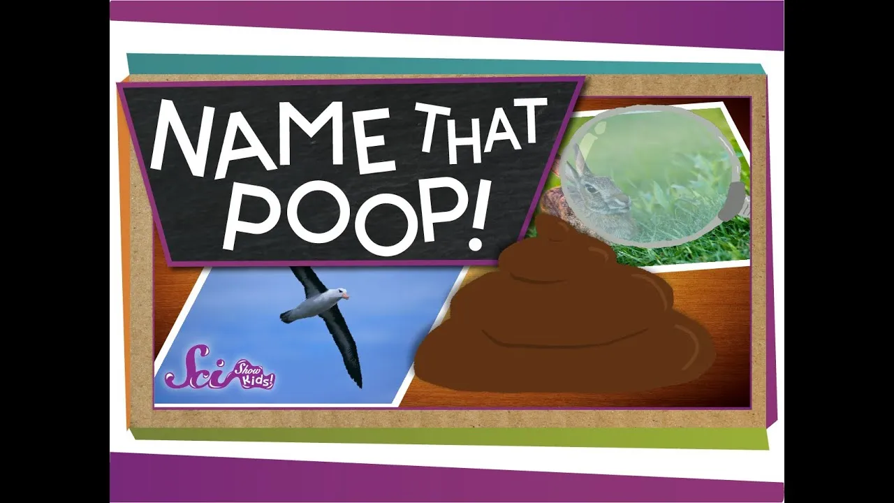 Name That Poop! - ClassX