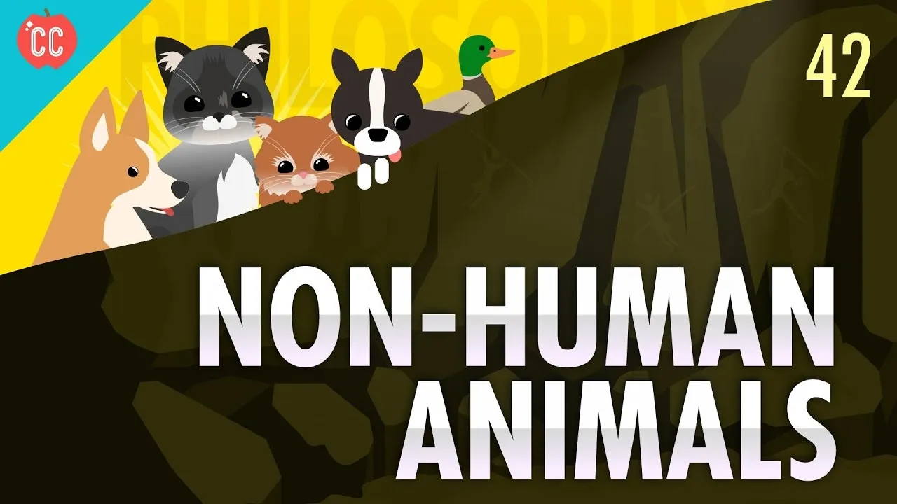 Non-Human Animals: Philosophy #42 - ClassX