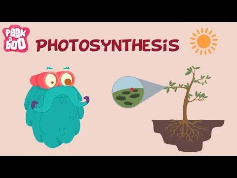 Photosynthesis | Educational Videos For Kids - ClassX