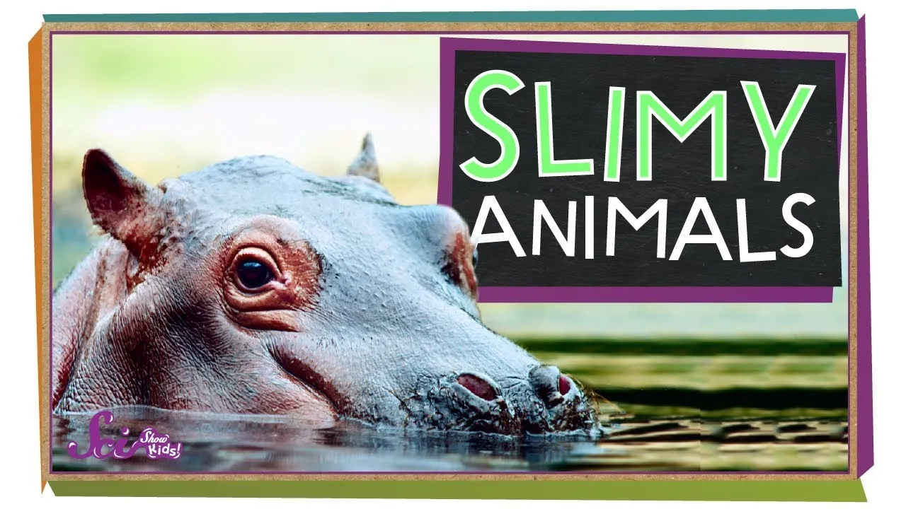Slimy Animals! - ClassX