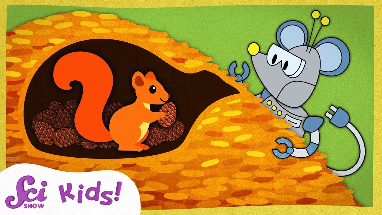 Stupendous Squirrel Storage! - ClassX