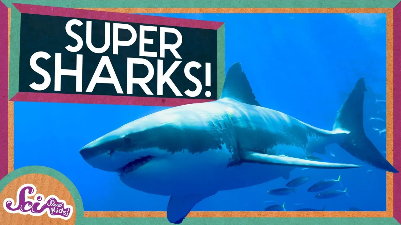 Super Sharks! - ClassX