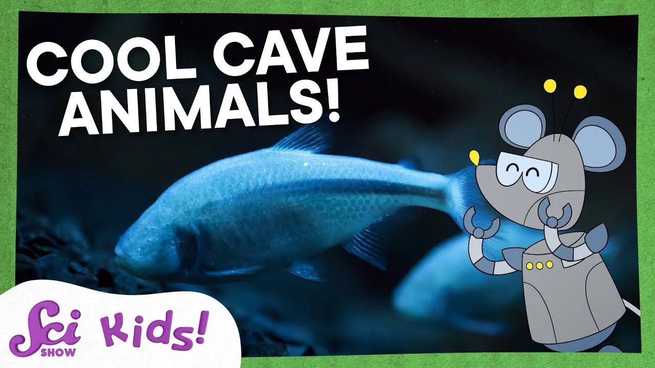 The Amazing Adaptations of Cave Animals! - ClassX