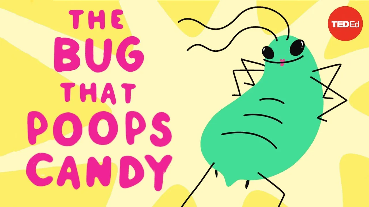 The bug that poops candy - George Zaidan - ClassX