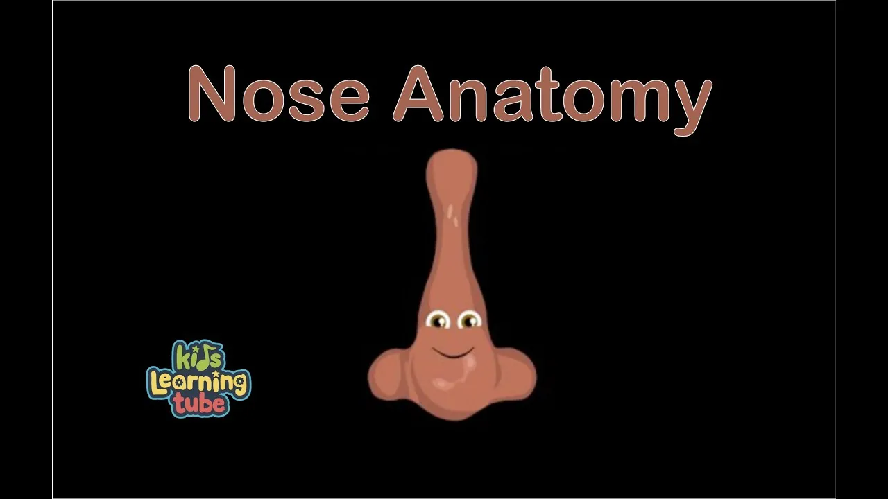 The Nose Anatomy Song - ClassX