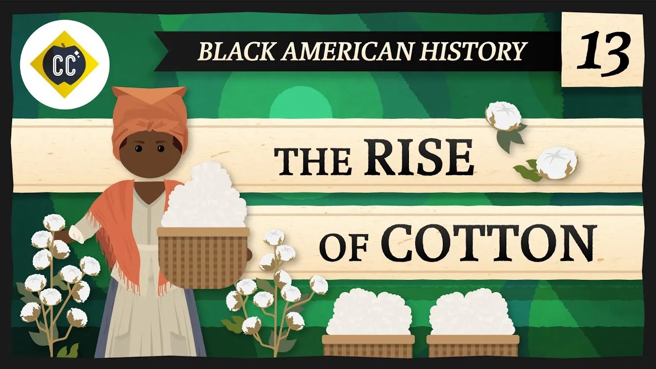 The Rise of Cotton: Black American History #13 - ClassX