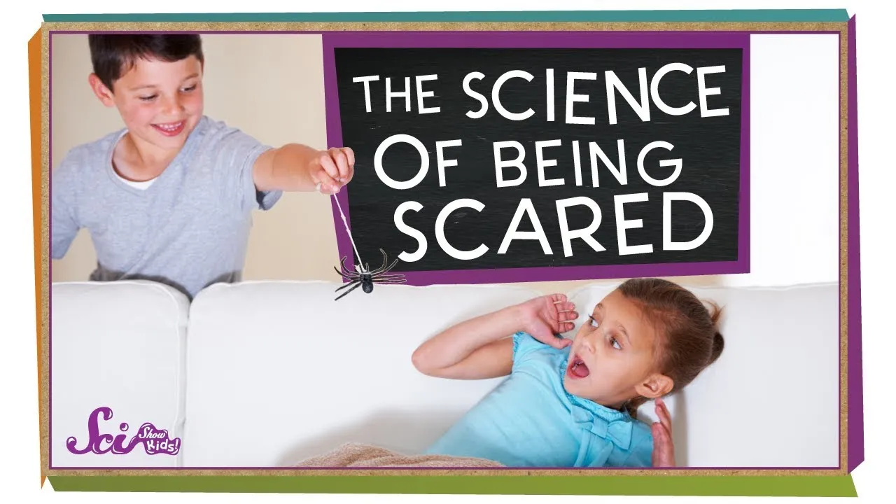 The Science of Being Scared - ClassX