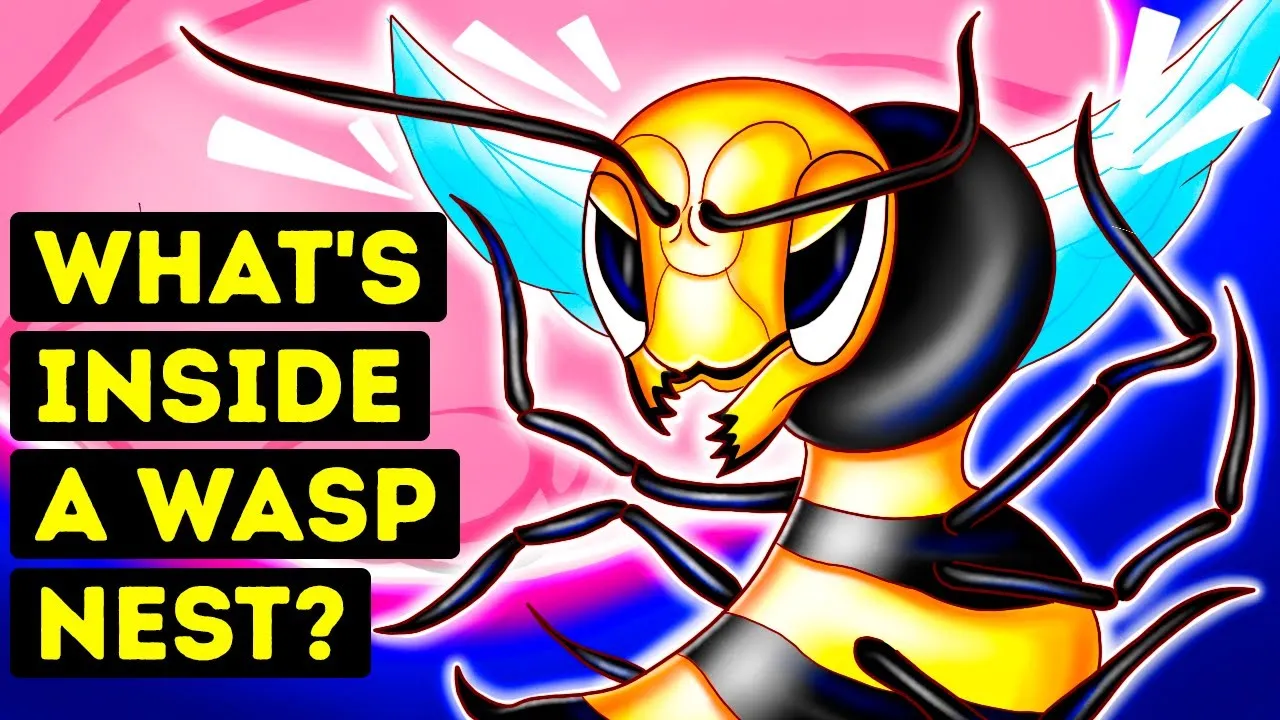Wasps Recognize Each Other's Faces + Other Things You Didn't Know About ...