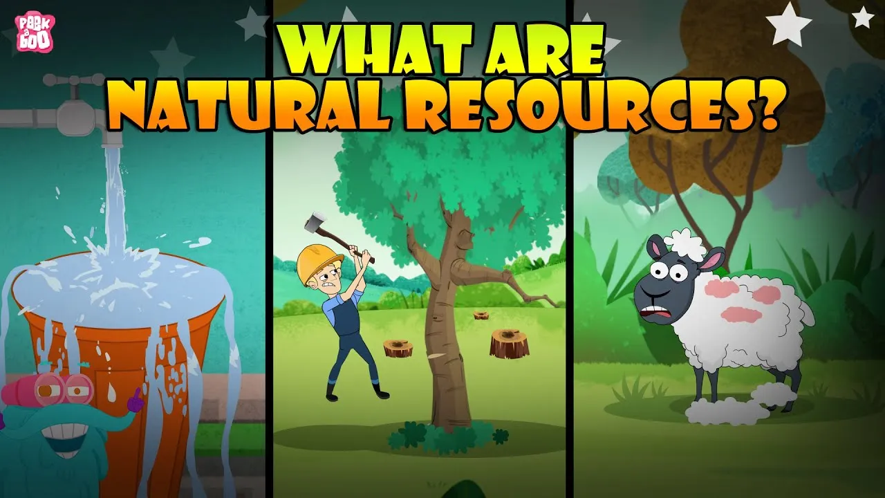 What Are Natural Resources? | Types Of Natural Resources - ClassX