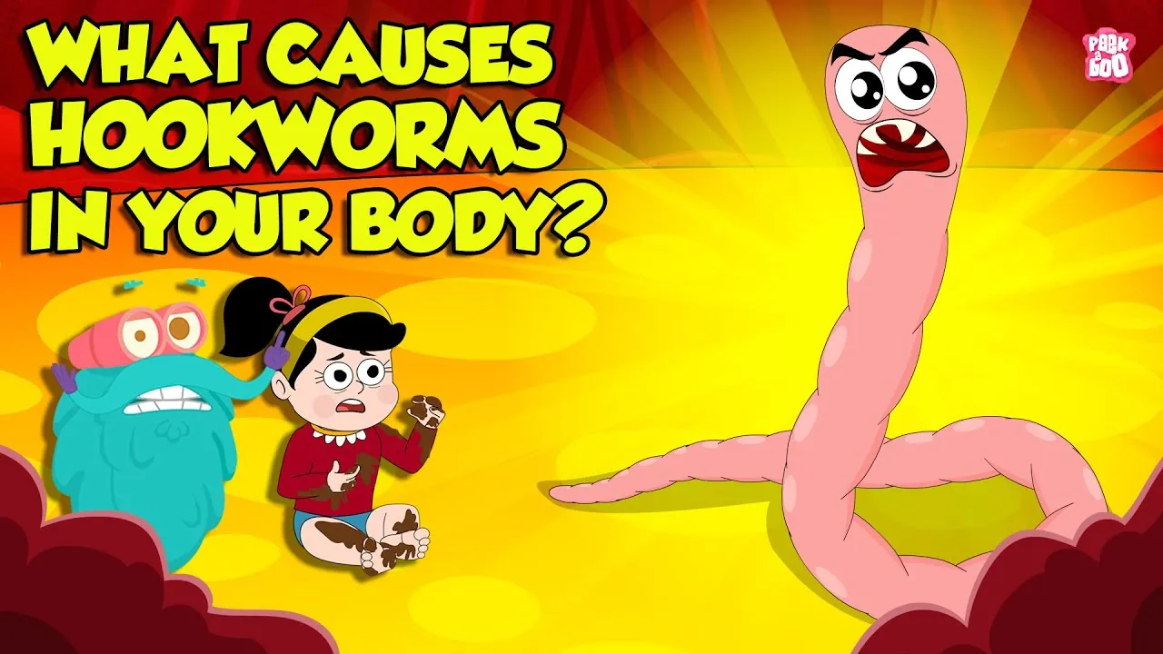 What causes Hookworm?। Intestinal Worms Symptoms and Treatment | Worm ...