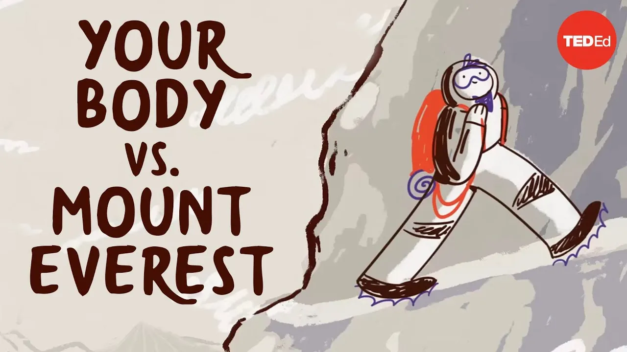 What happens to your body at the top of Mount Everest - Andrew Lovering ...