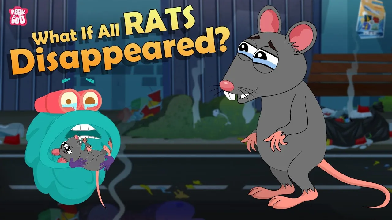 What If All The Rats Disappeared? | World Without RATS - ClassX