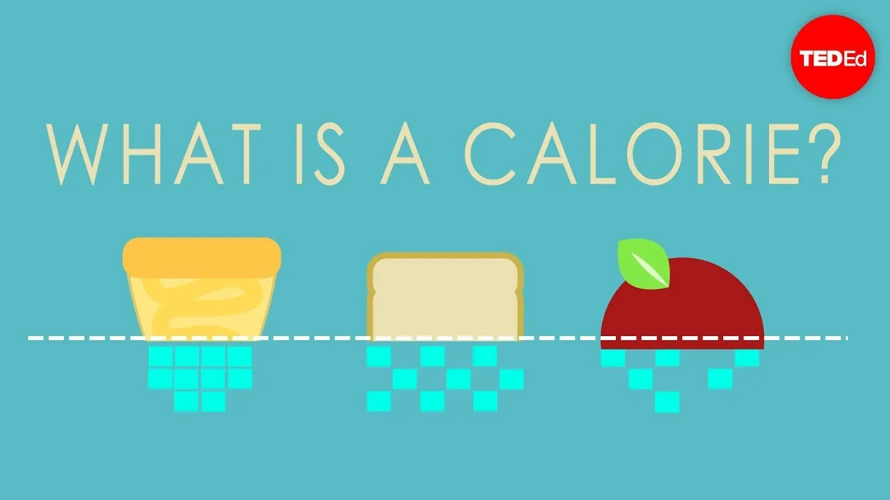 What is a calorie? - Emma Bryce - ClassX