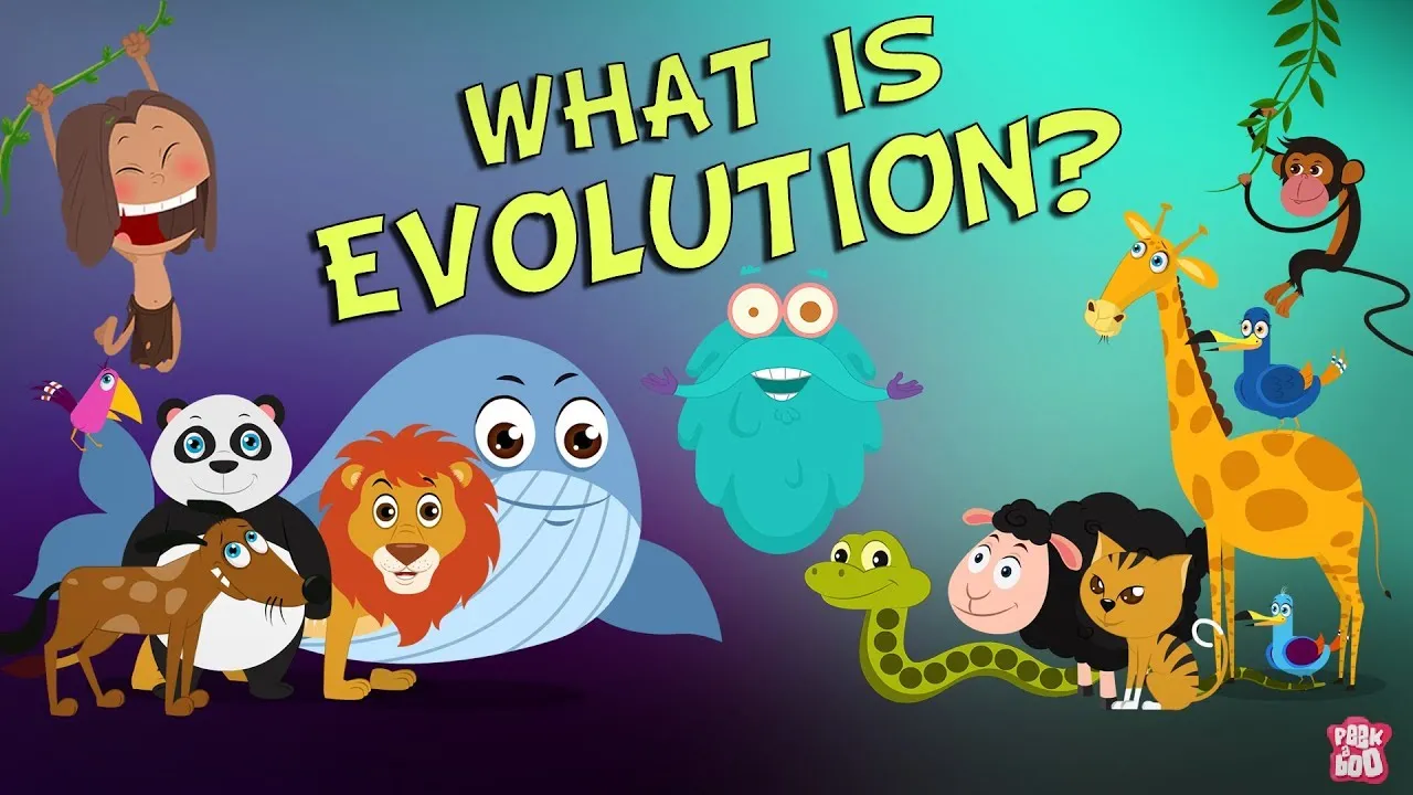 What is Evolution? | Best Educational Videos For Kids - ClassX
