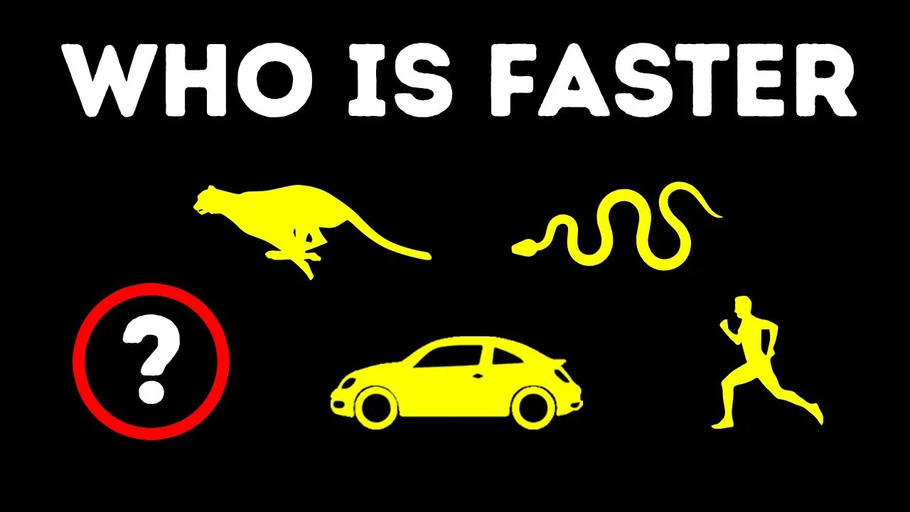 Who Is the Fastest Living Being in the World? - ClassX