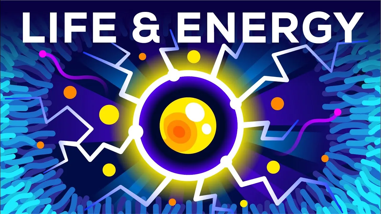 Why Are You Alive – Life, Energy & ATP - ClassX