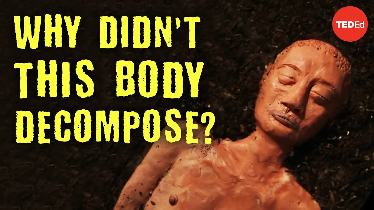 Why didn’t this 2,000 year old body decompose? - Carolyn Marshall - ClassX