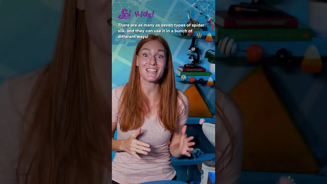 Why do spiders spin webs? - ClassX